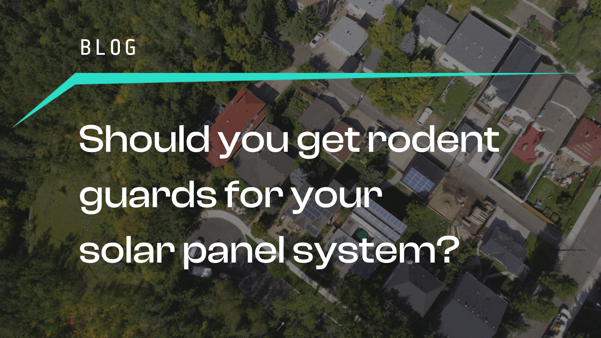 Solar Panel Rodent Guards For Your Solar System - Zeno Renewables